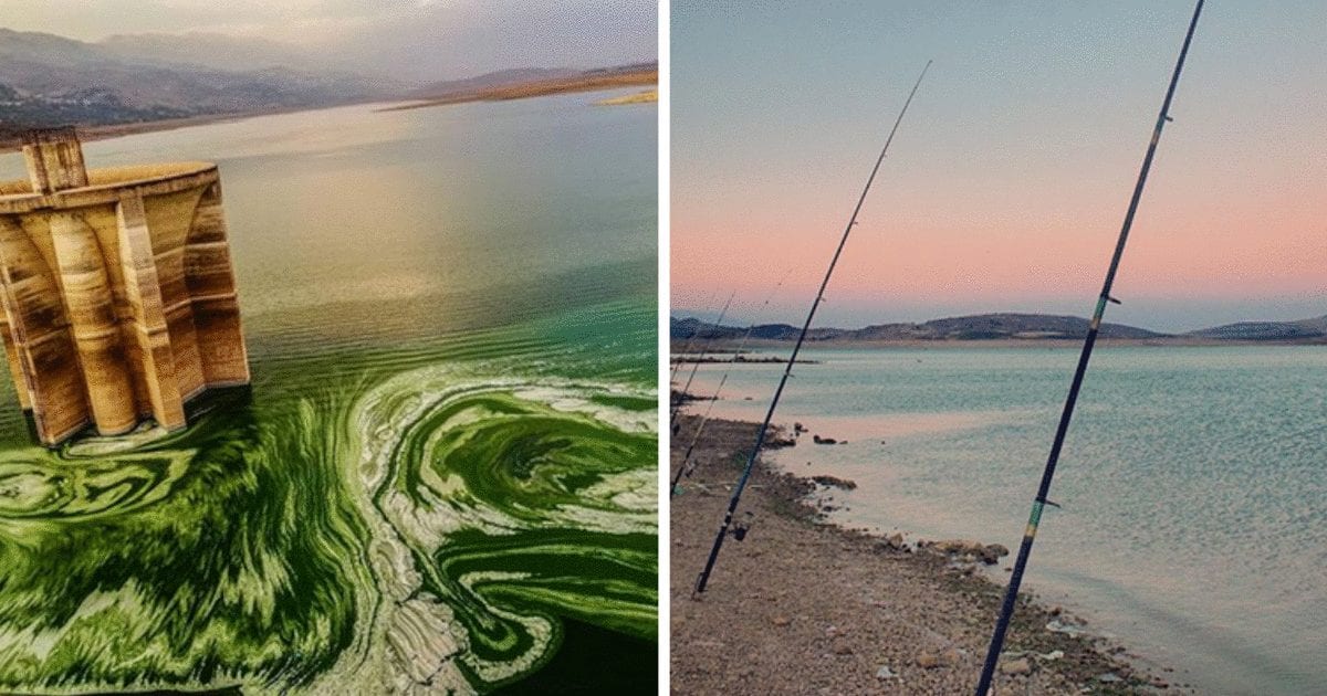 Lake Qaraoun, Lebanon in 10+ amazing pictures