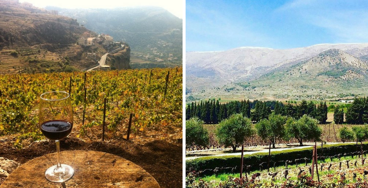 7 Wineries In Lebanon You Must Visit This Spring!