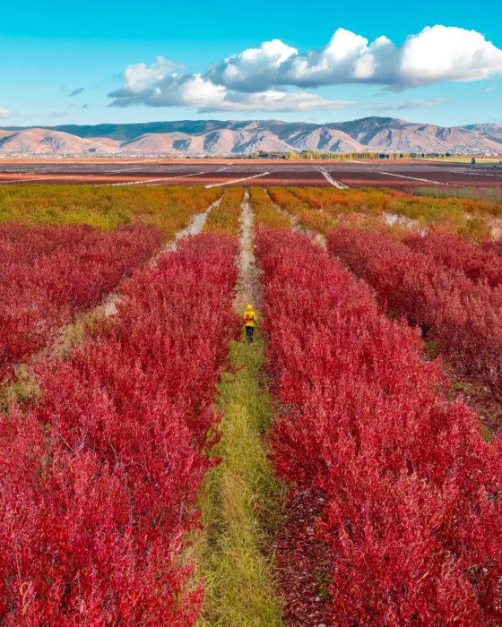 10 Mesmerizing Photos You Won't Believe Were Taken In Lebanon