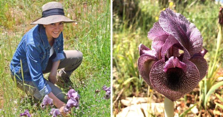 Lebanese Receives National Geographic Society Grant To Protect Lebanon ...